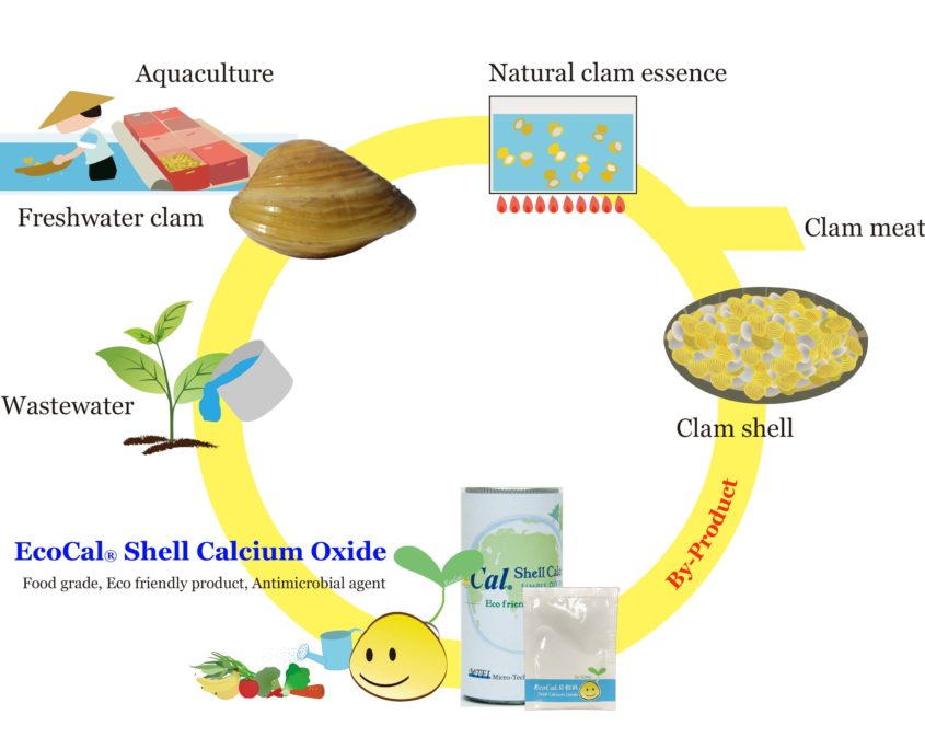 Shell Calcium Oxide - 仲暘企業有限公司